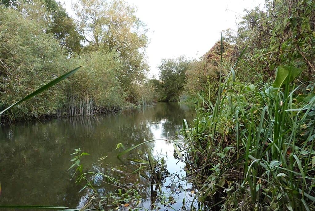 River Loddon - Lavells - Castbooker