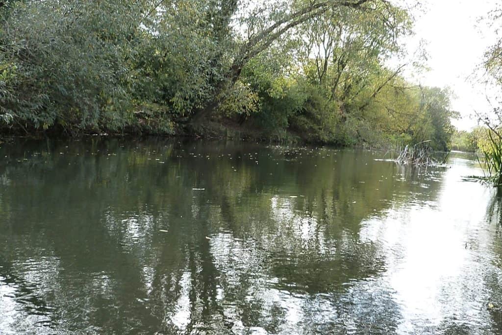 River Loddon - Charvil - Castbooker