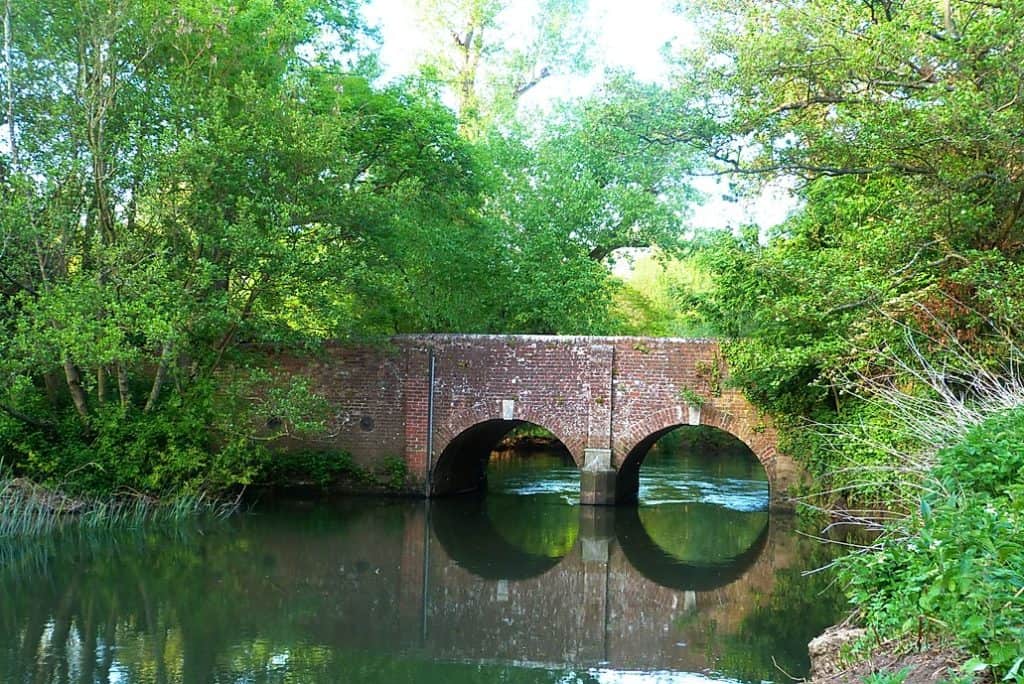 River Loddon - Sandford - Castbooker