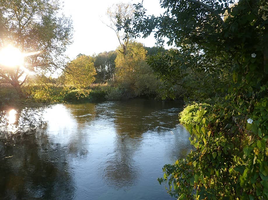 St. Patrick's Stream - Charvil - Castbooker