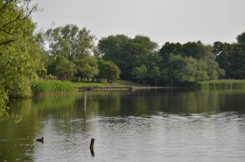 Pickmere - Castbooker