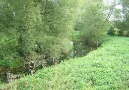 River Mease at Mease Meadows - Castbooker
