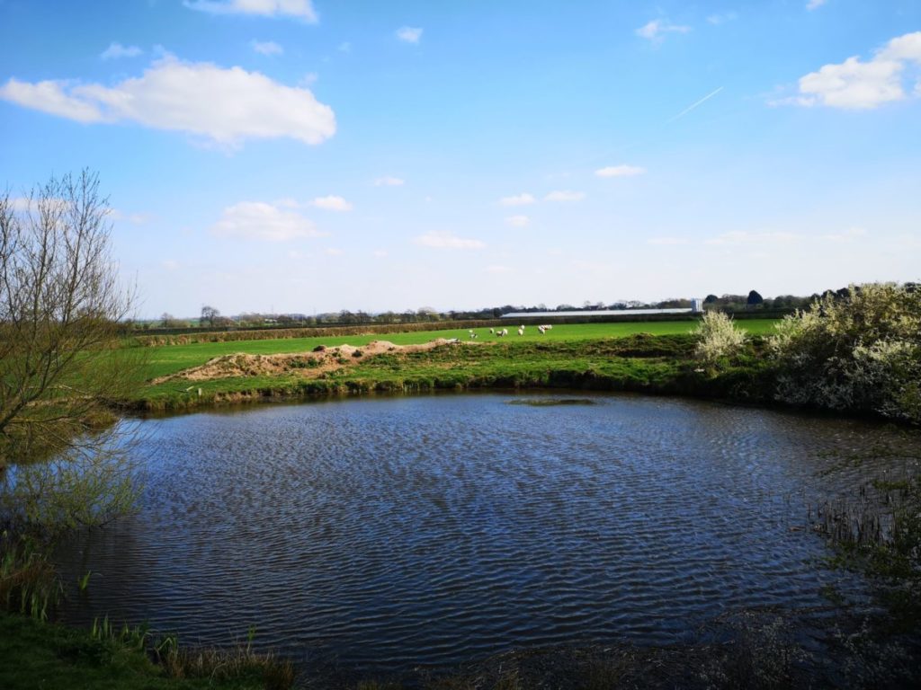 Thistleton 2 - Castbooker