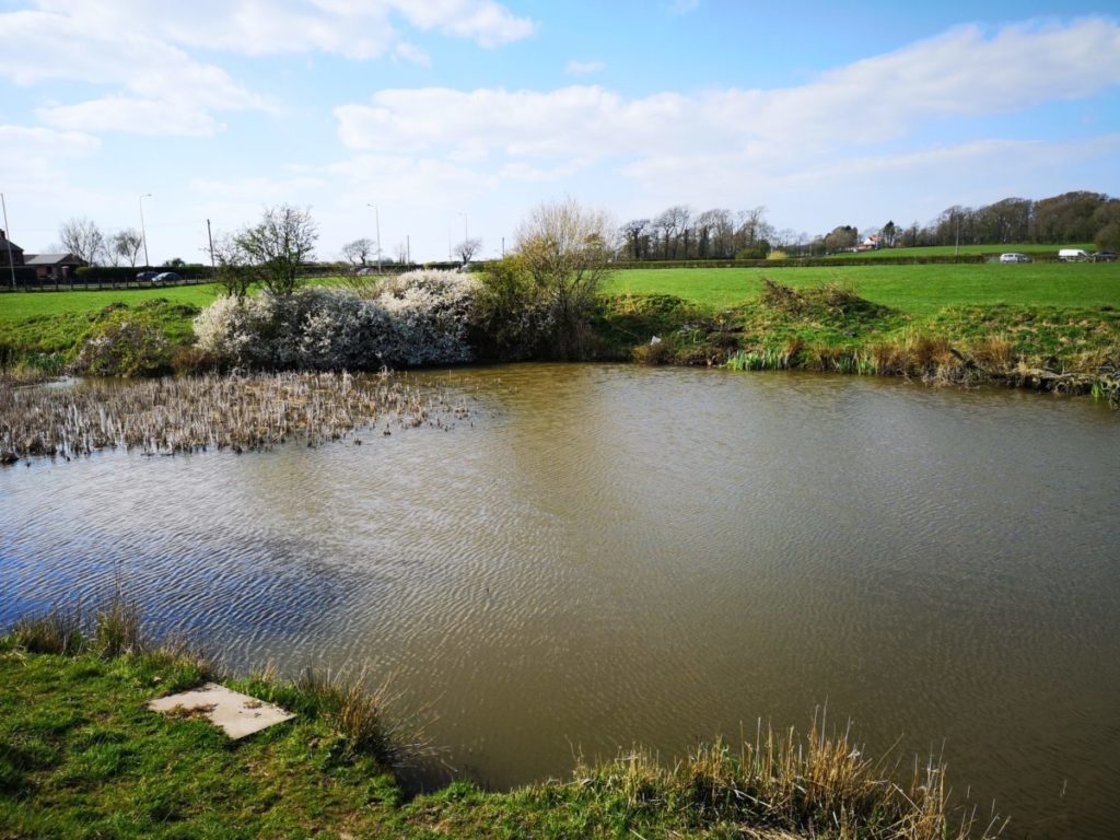 Thistleton 1 - Castbooker